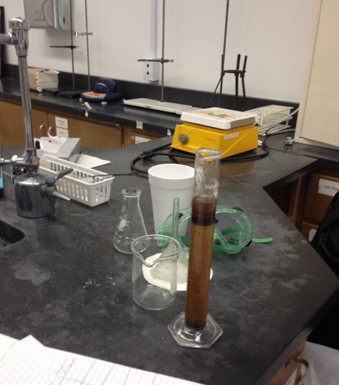 Chemistry: Foul Water Lab Report