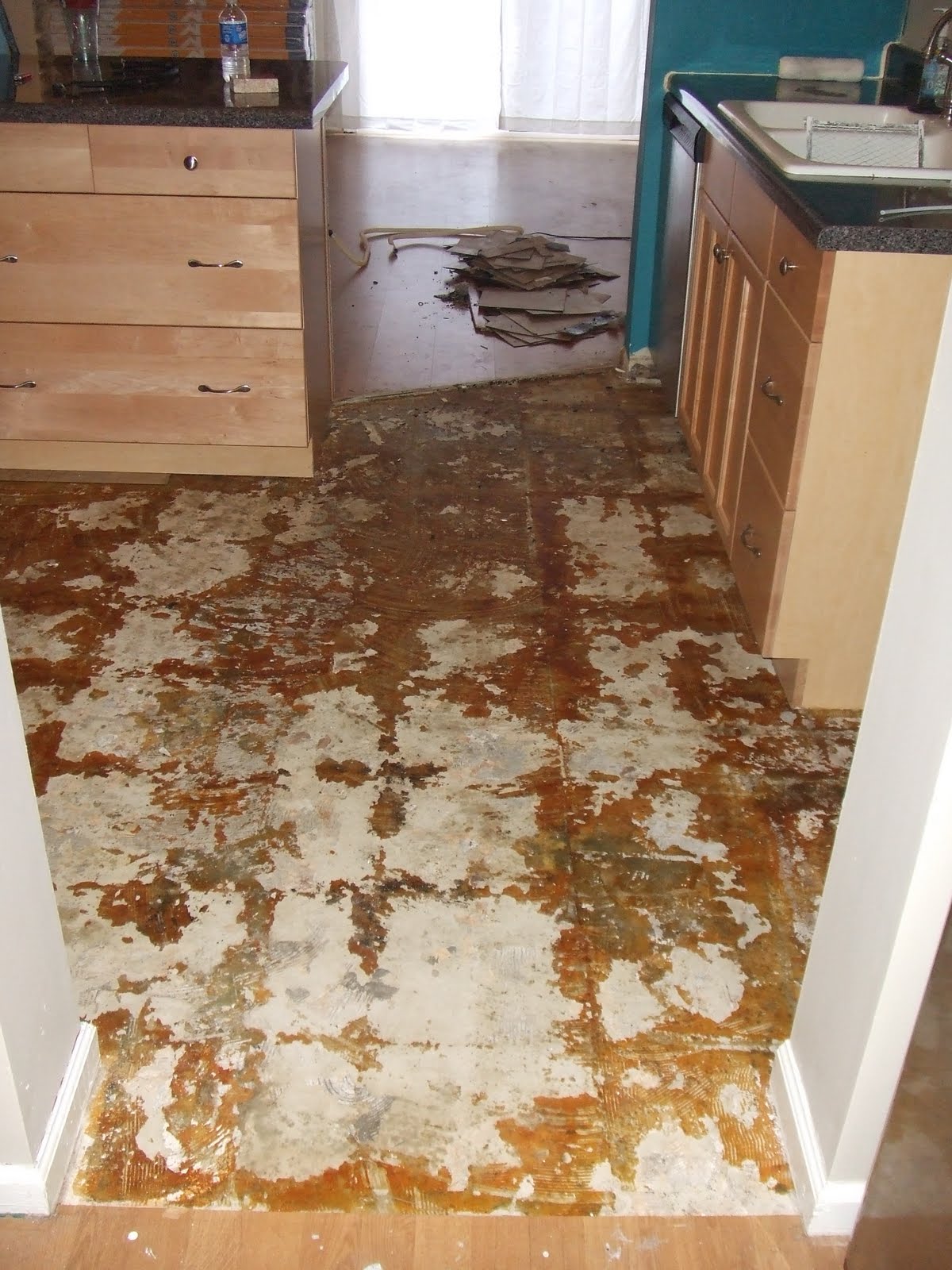 love + d.i.y. - a home improvement diary.: Bye Bye Bad Flooring PT. 1