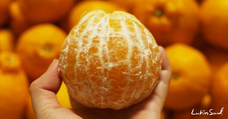 Special Orange you can meet in Korea; Hallabong - lookinSeoul