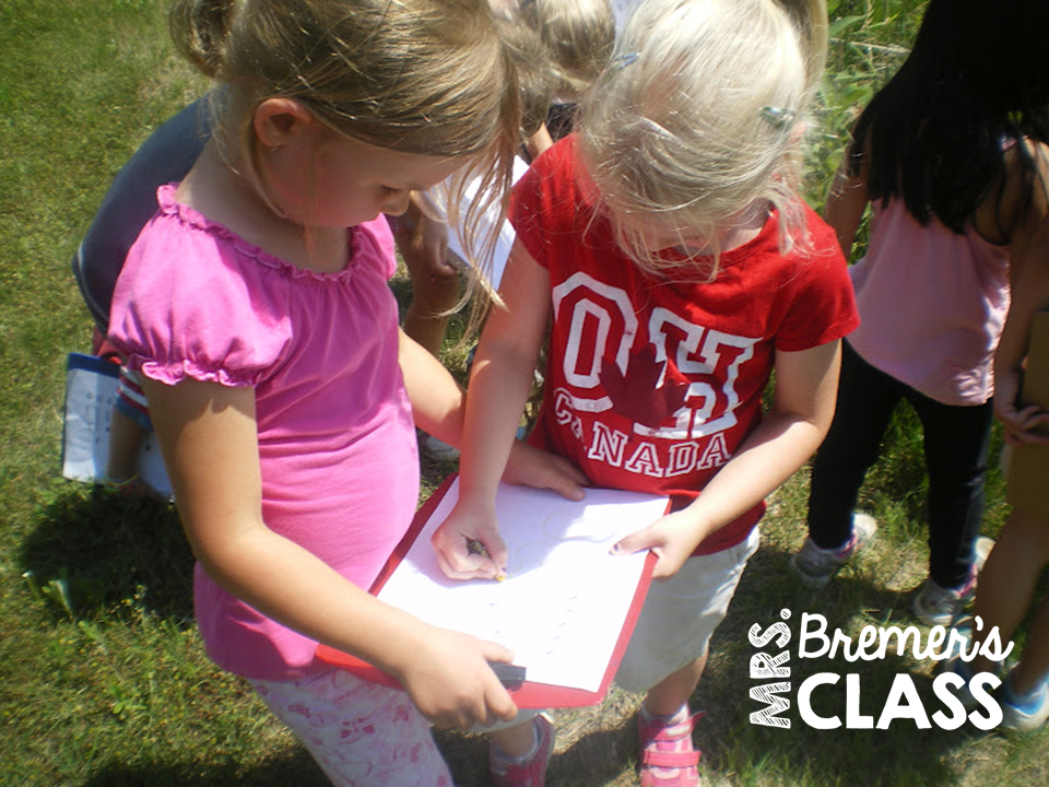 We're Going On A Bug Hunt...freebie! | Mrs. Bremer's Class