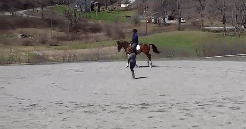 Dream Big: Lesson 3/26 - TRAINER IS BACK!!