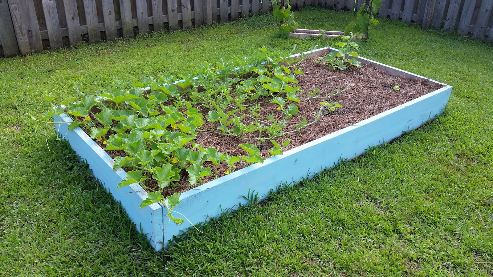 Liisa's Garden Journey: 2017