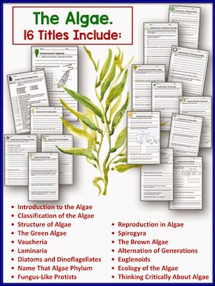 Amy Brown Science: Interactive Notebook Pages for the Protista Kingdom