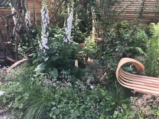 RHS Chelsea 2018: and my winners are........