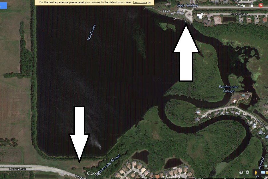 Sustainable Sarasota : Honore Park - Proposed - Ward Lake, Braden River