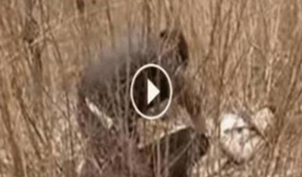 JY-142 XHX-05 Electronic Yarn Twist Tester/Yarn TPI Tester ...