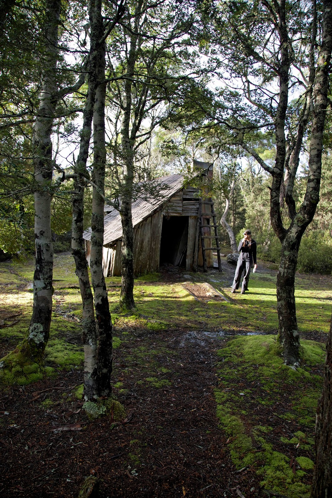 Nature Scribe: Four Lakes and a Mountain: Part 3