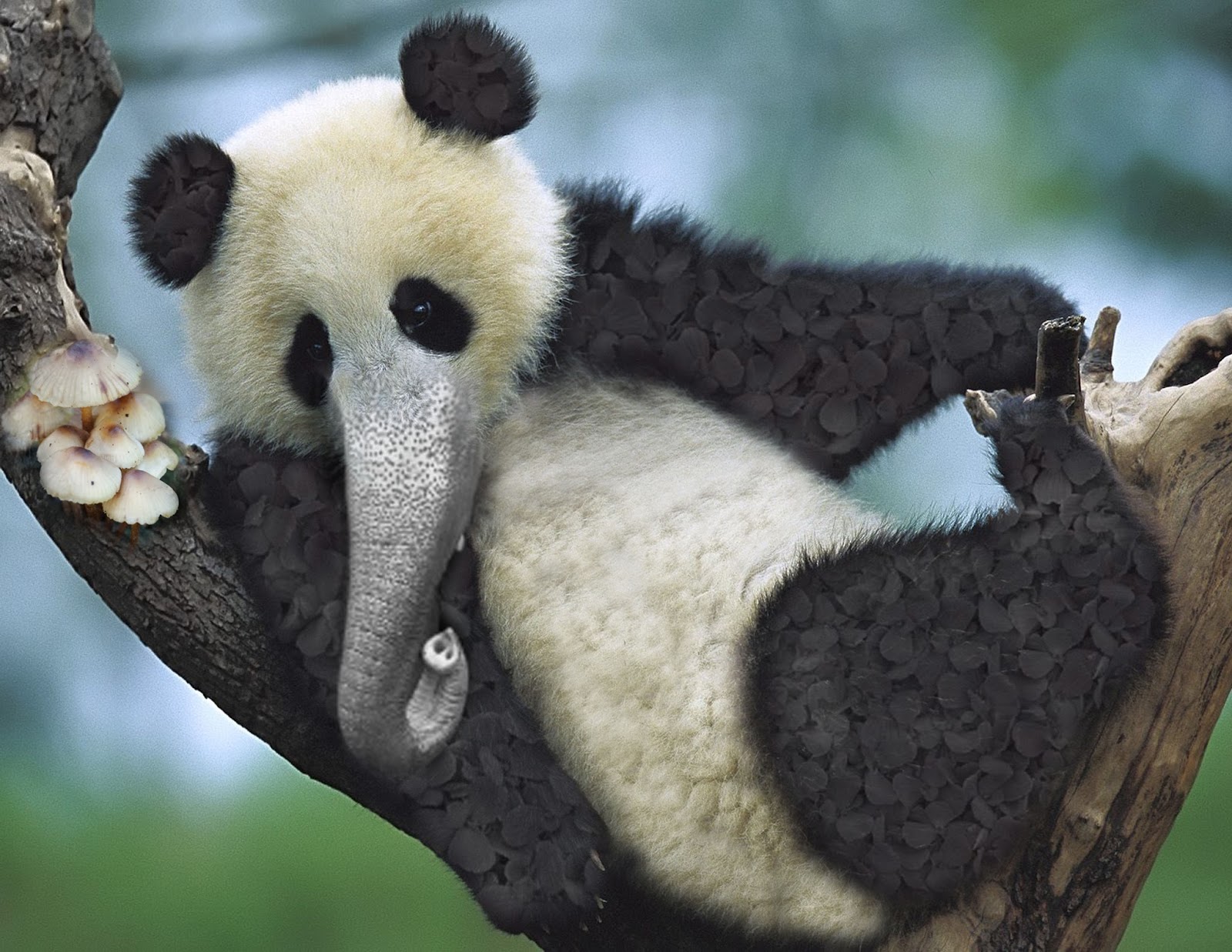 Kelly Nixon: Art Education: Animal Twists - Photoshop Lesson for Art I