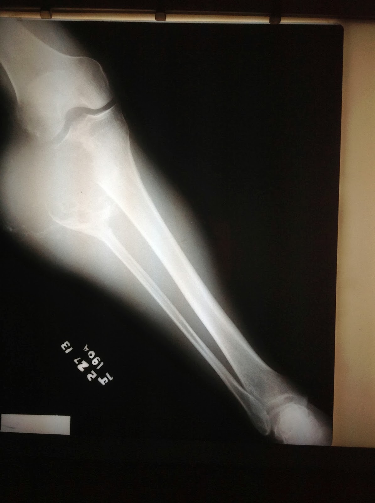 Science, Medicine,Nature and Troubleshootings: 9/22/13 - 9/29/13