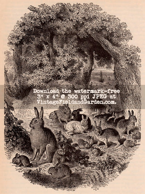 Creative Busy Bee - Digital Scrapbooking Specialized Search Engine