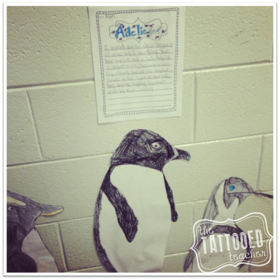 penguin parade - Owl-ways Be Inspired