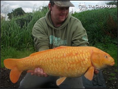 The Carpologists: Pendle View Fishery - The Build Up