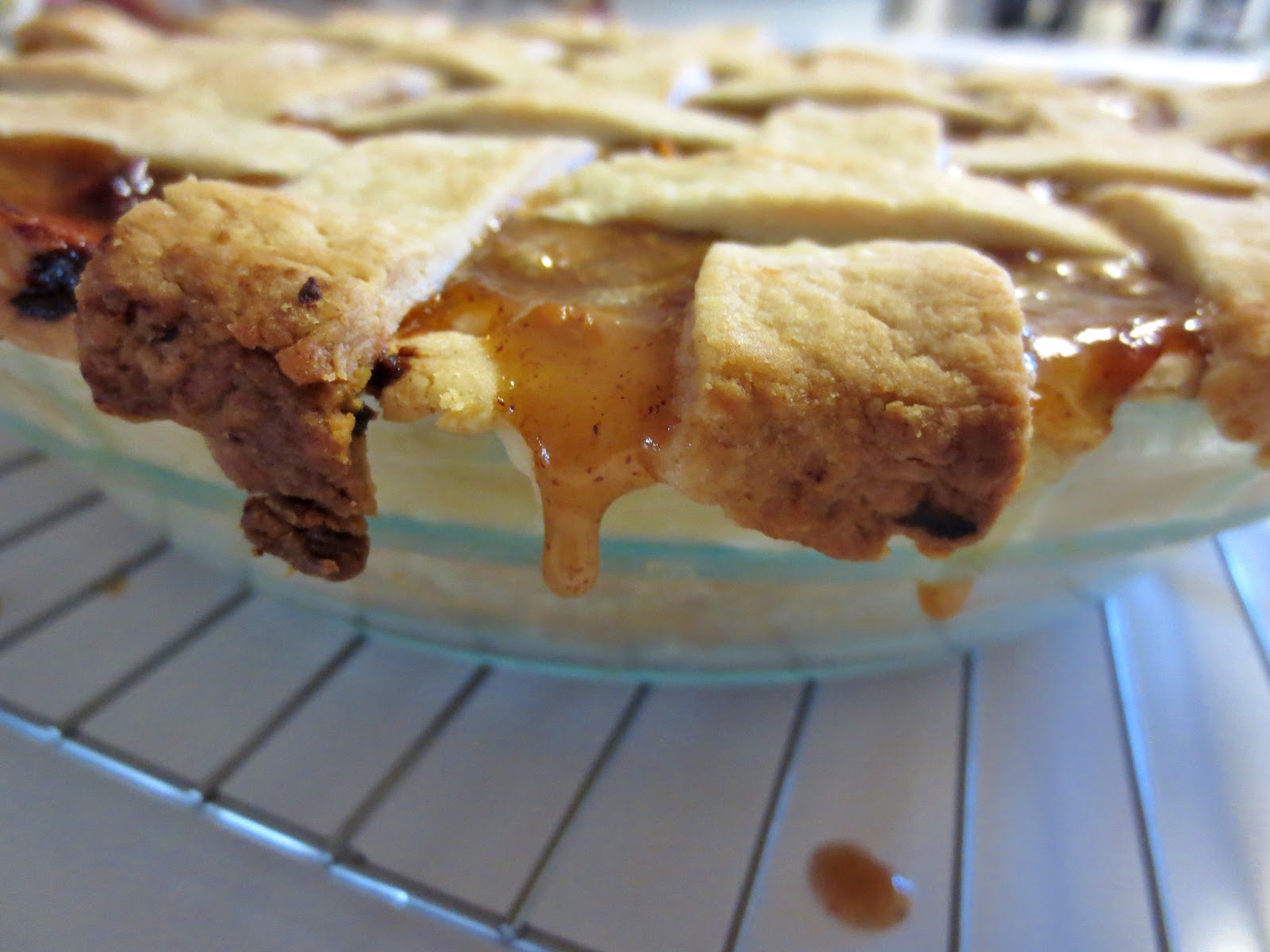 Princesses, Pies, & Preschool Pizzazz: Friday Pie-Day: Loquat Pie