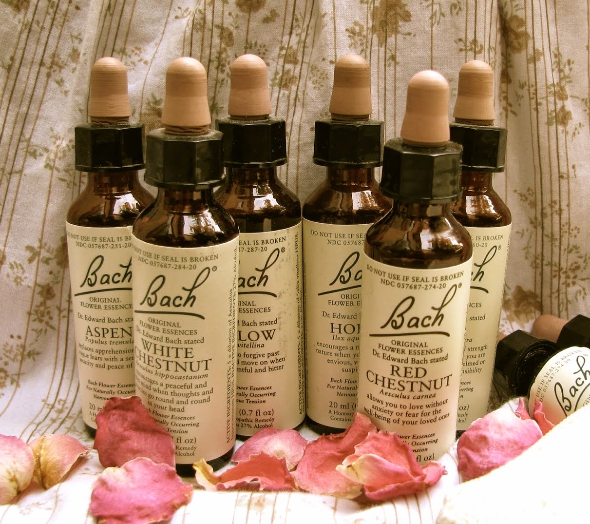 Healthy Gypsy Traveller: Bach Flower Remedies for Travel