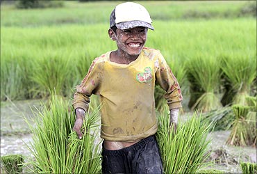 Top Child Labour Images 2016 ~ Latest Funny Jokes