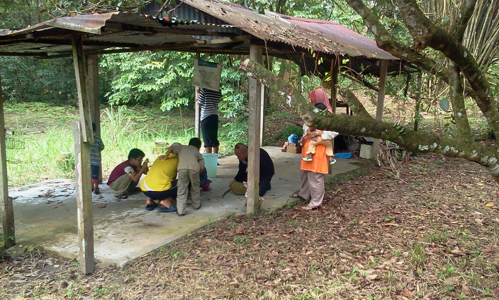 WANN YUSOFF TOBEK: BALIK KAMPUNG - GUNUNG MESAH HULU, GOPENG.