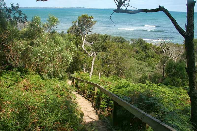 TRACKS, TRAILS AND COASTS NEAR MELBOURNE : Merricks Beach Foreshore ...