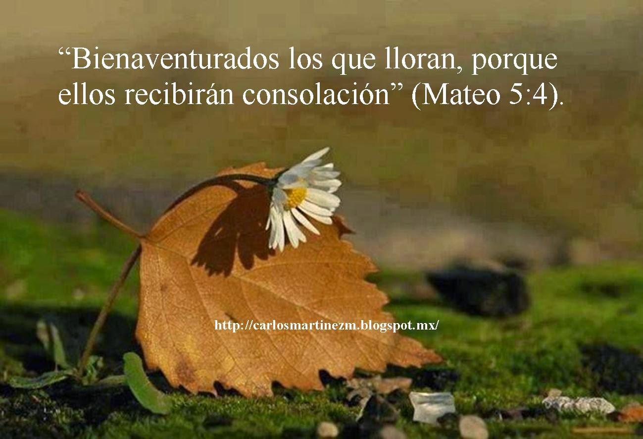 Aprendiendo la Sana Doctrina: Mateo 5:4