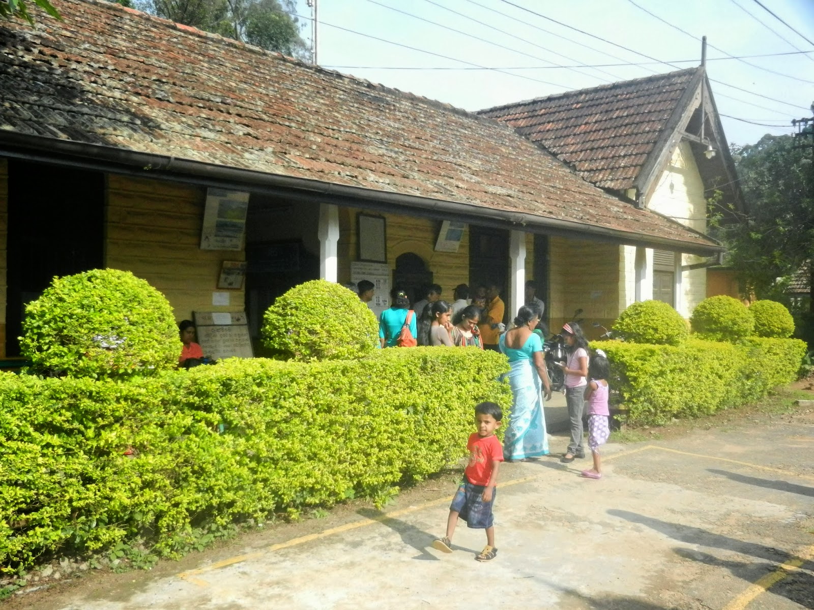 Sri Lanka 2013 - 2014: ELLA - HATTON