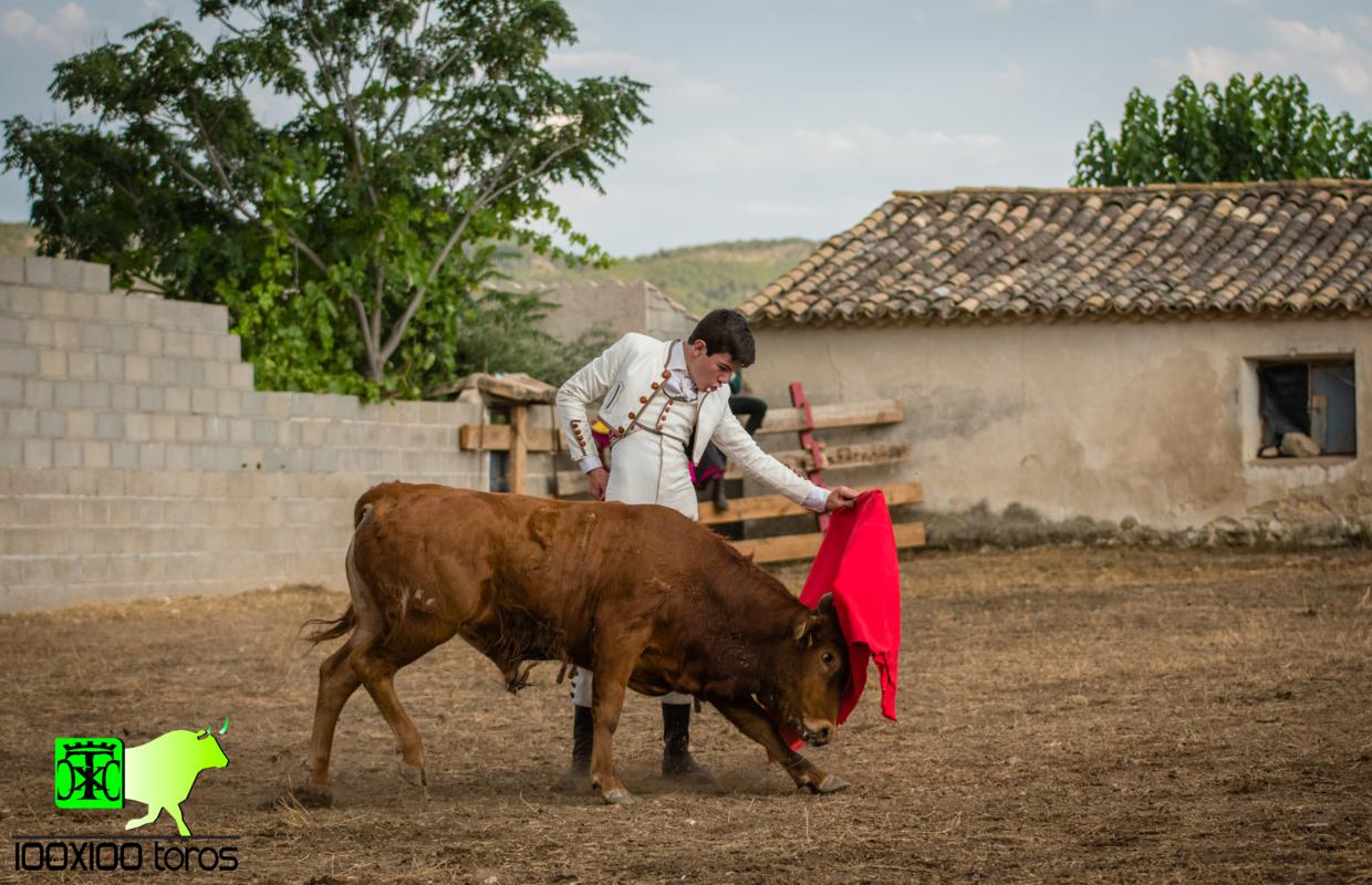 100x100 Toros: Clase práctica para la Escuela Taurina de Guadalajara en ...