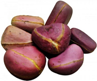 Pai Mutalengunzo: Obí e Orobô no candomblé.