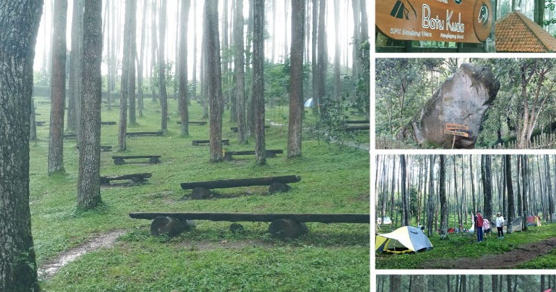 Batu Kuda, Wisata Kesejukan Hutan Pinus di Bandung Timur