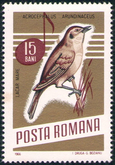 Timbre filatelice: Timbre cu pasari cantatoare