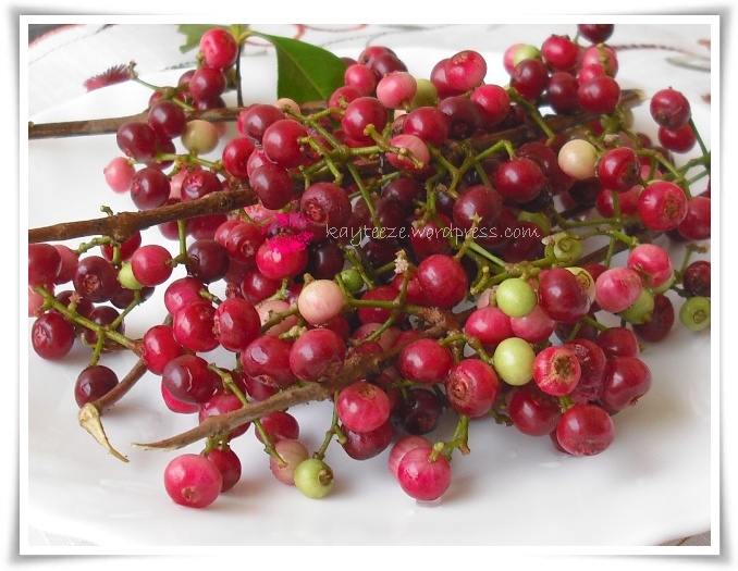 VISUAL DIARY: serai kayu...hmmm...awet muda wei.