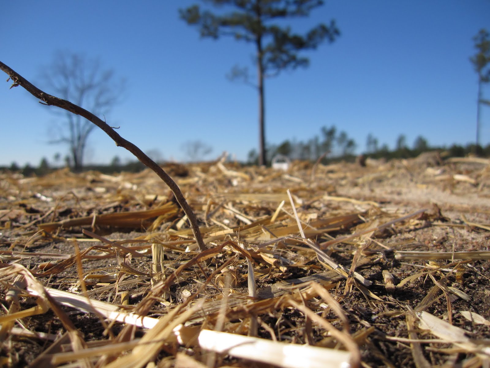 Our Neck of the Woods