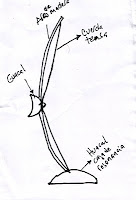 Music Class CEAD Christian School (Documentos): Instrumentos Musicales ...