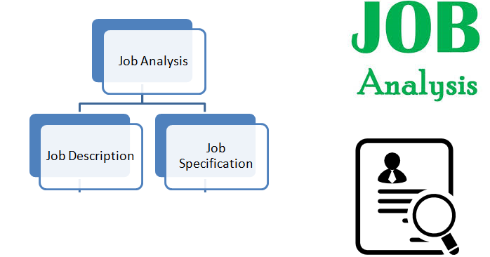 TRAINING ON JOB ANALYSIS & EVALUATION - Labour Law Blog