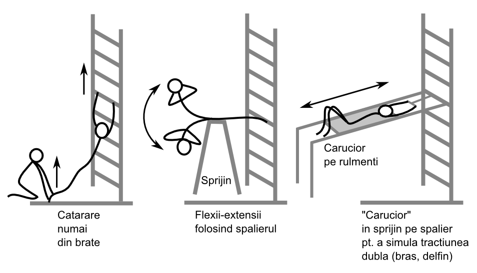 Despre Inot - cu Mircea Olaru, ph.ed: ANTRENAMENTUL INOTATORILOR PE USCAT