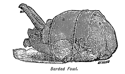 Researching Food History : Barding and Larding