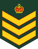 Senarai Pangkat Tentera Darat Malaysia (TDM)