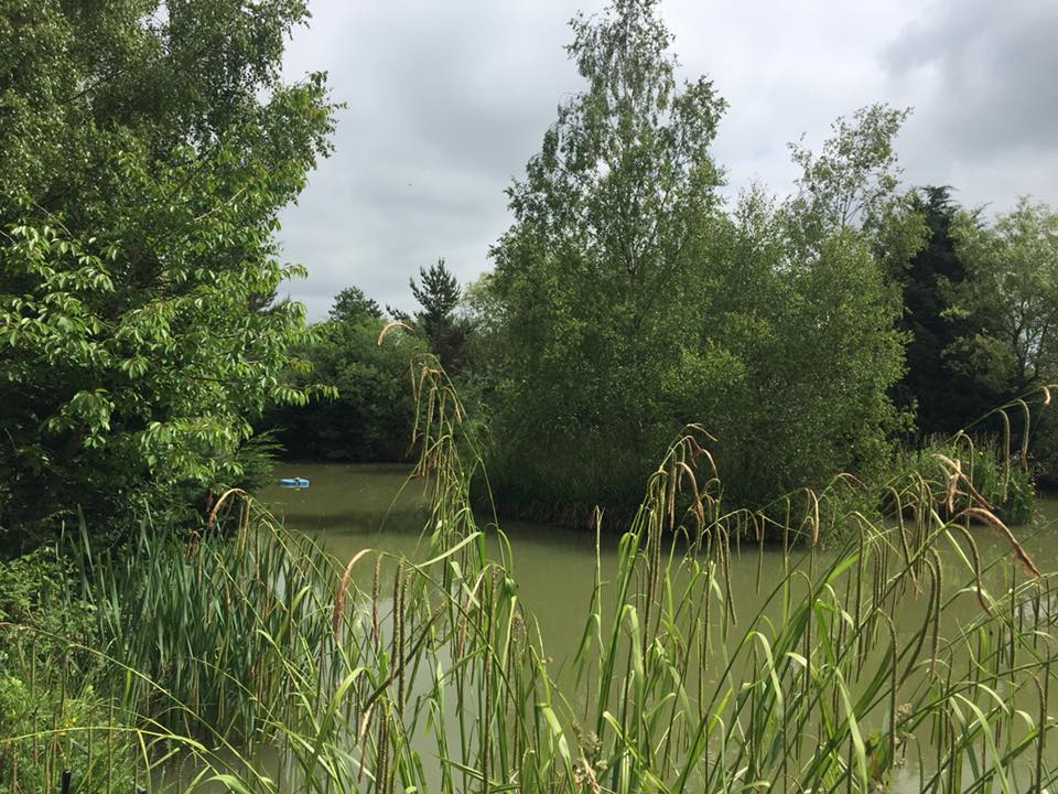 UK fishing venues: Raker Lakes (Heron Lake) - Venue Review