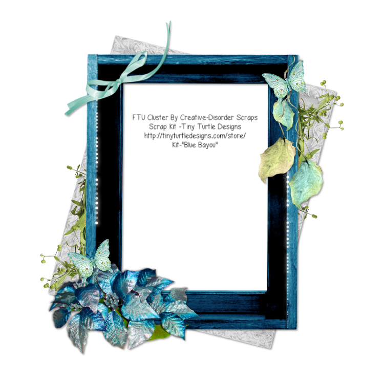 Creative Disorder Designs: FTU Cluster Frames