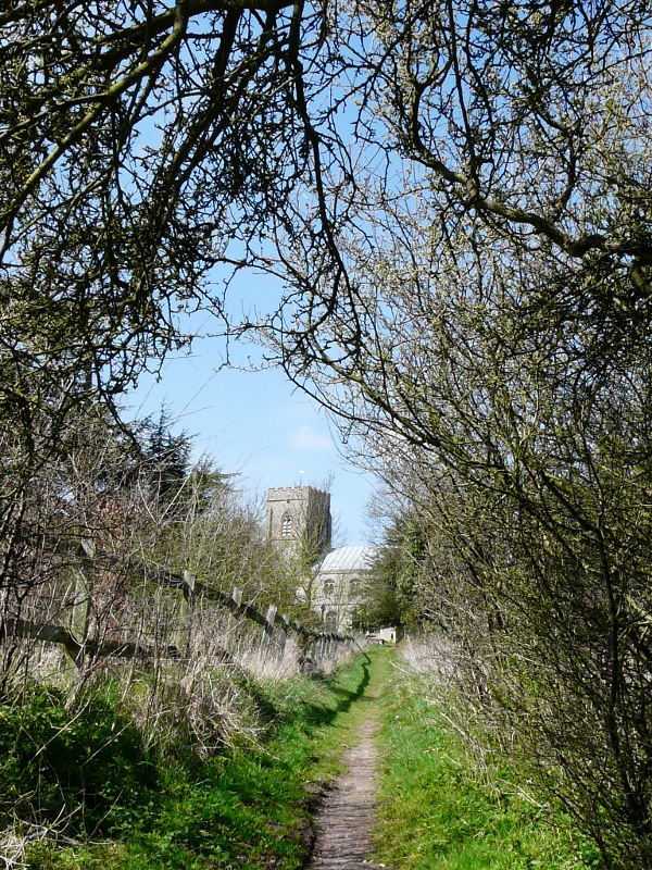 Cindy's Snaps: Priestley Woods, Barking in Suffolk and Barking Church ....