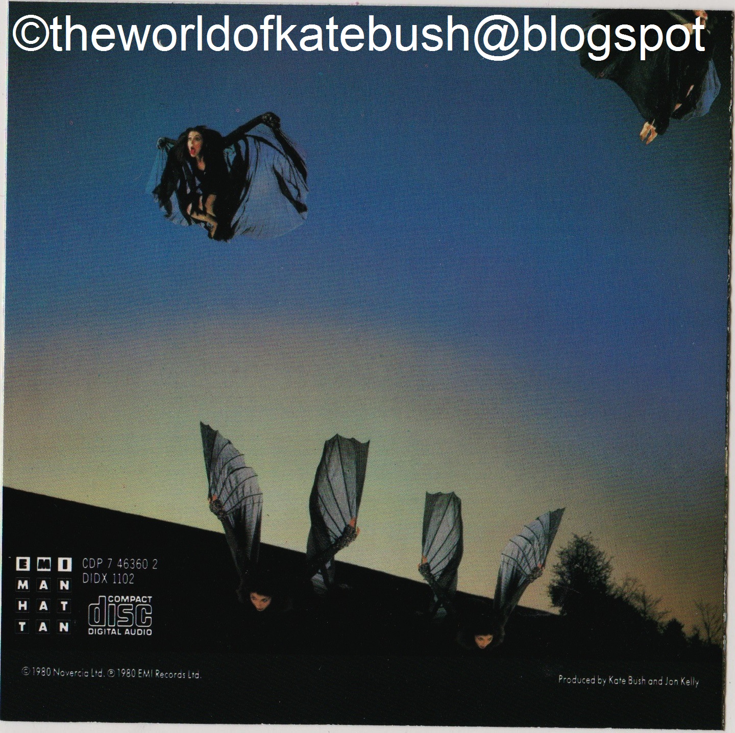 THE WORLD OF KATE BUSH: Never Forever - Box Set