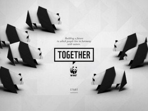 Notes from the Toybox: A stroll through the WWF Together App