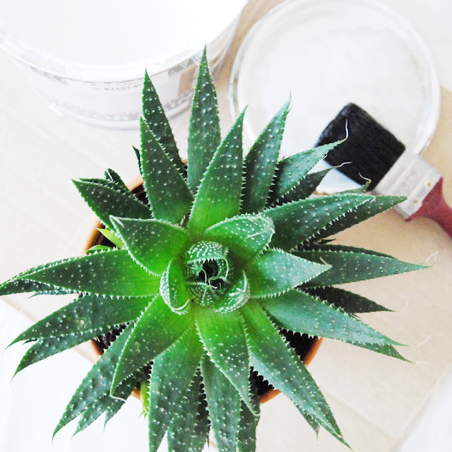 Drip Drop Plant Pots | Brick Dust & Glitter