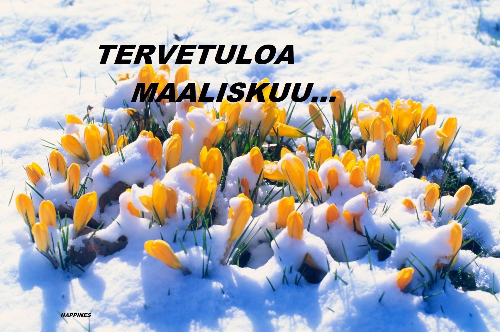 Näin se menee: Tervetuloa maaliskuu