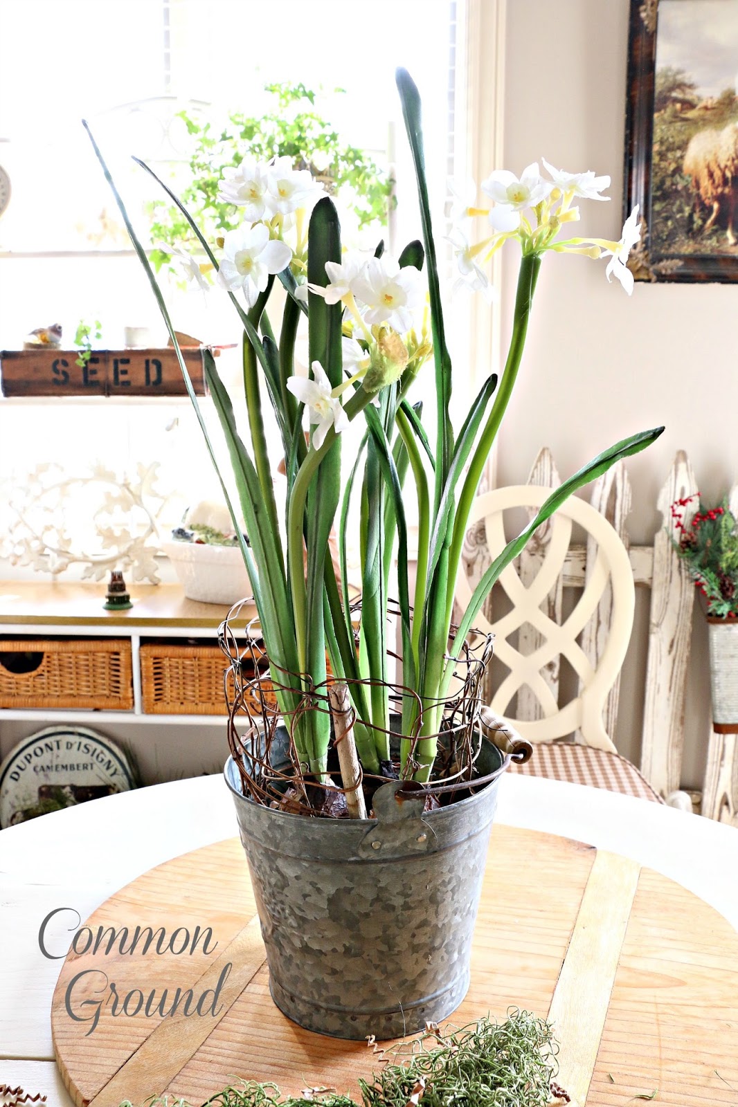 common ground : Paperwhites, Fresh or Faux?