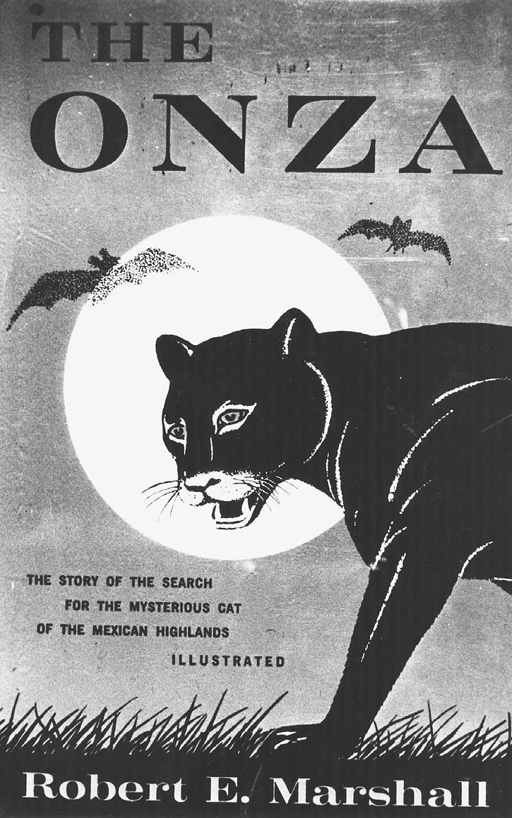 Onza - Unsolved Mysteries In The World