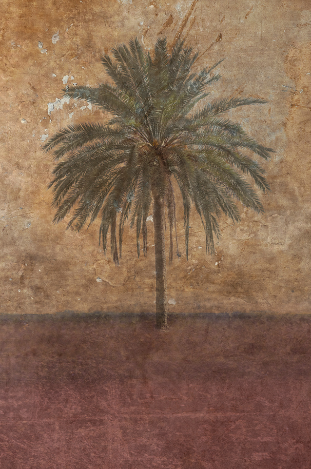 Paul Biddle Photographer