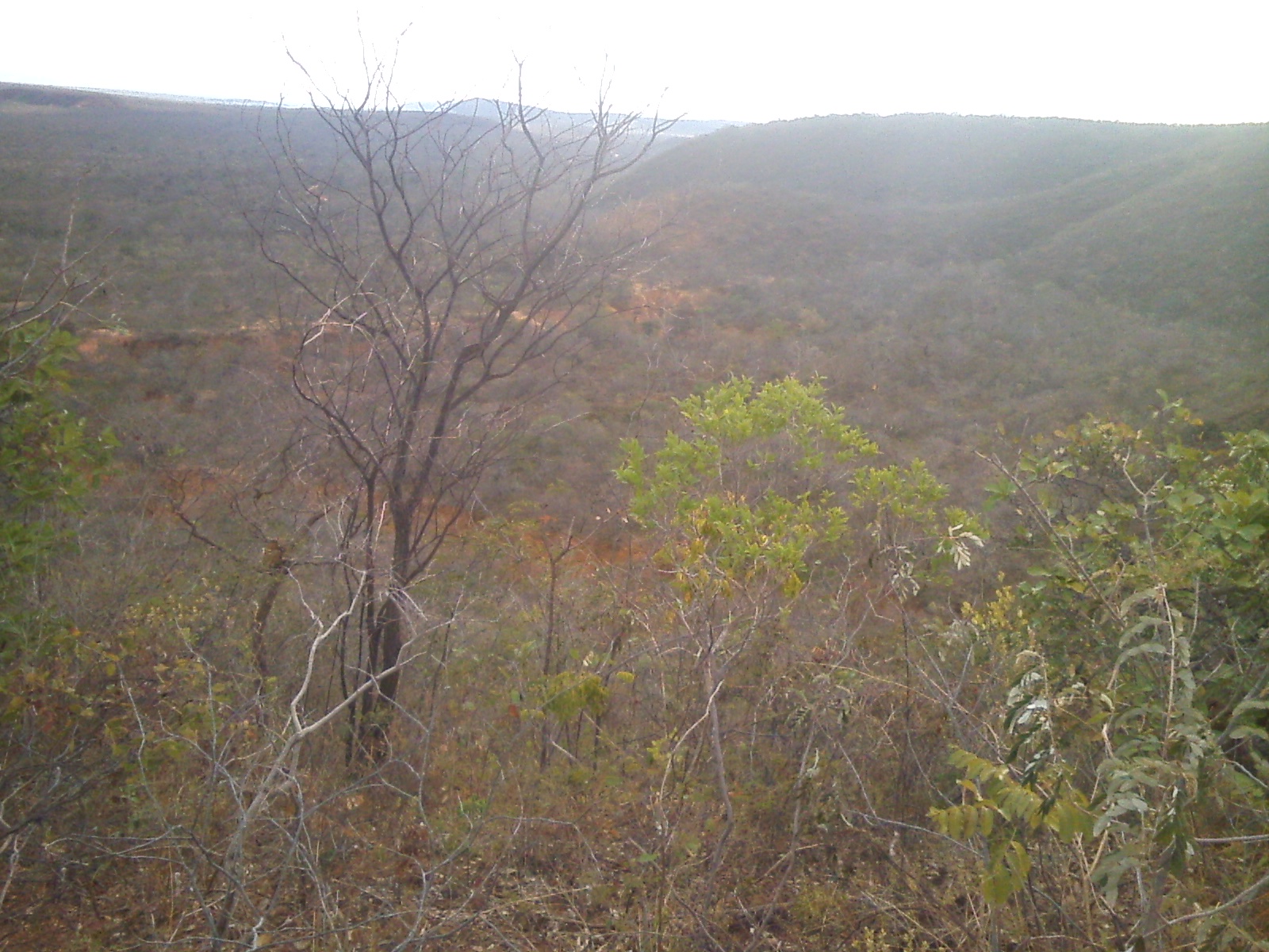 Captura Natureza: PRESERVE O CERRADO