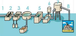 Juana Mª Madrid Marín #CIENCIACIERTA: POTABILIZADORA Y DEPURADORA EDAR