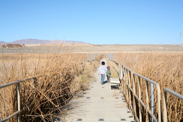 Favorite Places to Explore Nature in Reno, Nevada - GoExploreNature.com