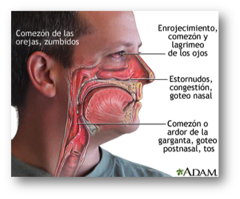 Medicinas del Alma