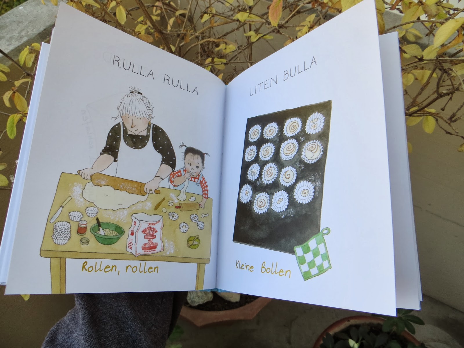 Hausfrau Hanna Basel: Mollan und die Bollen