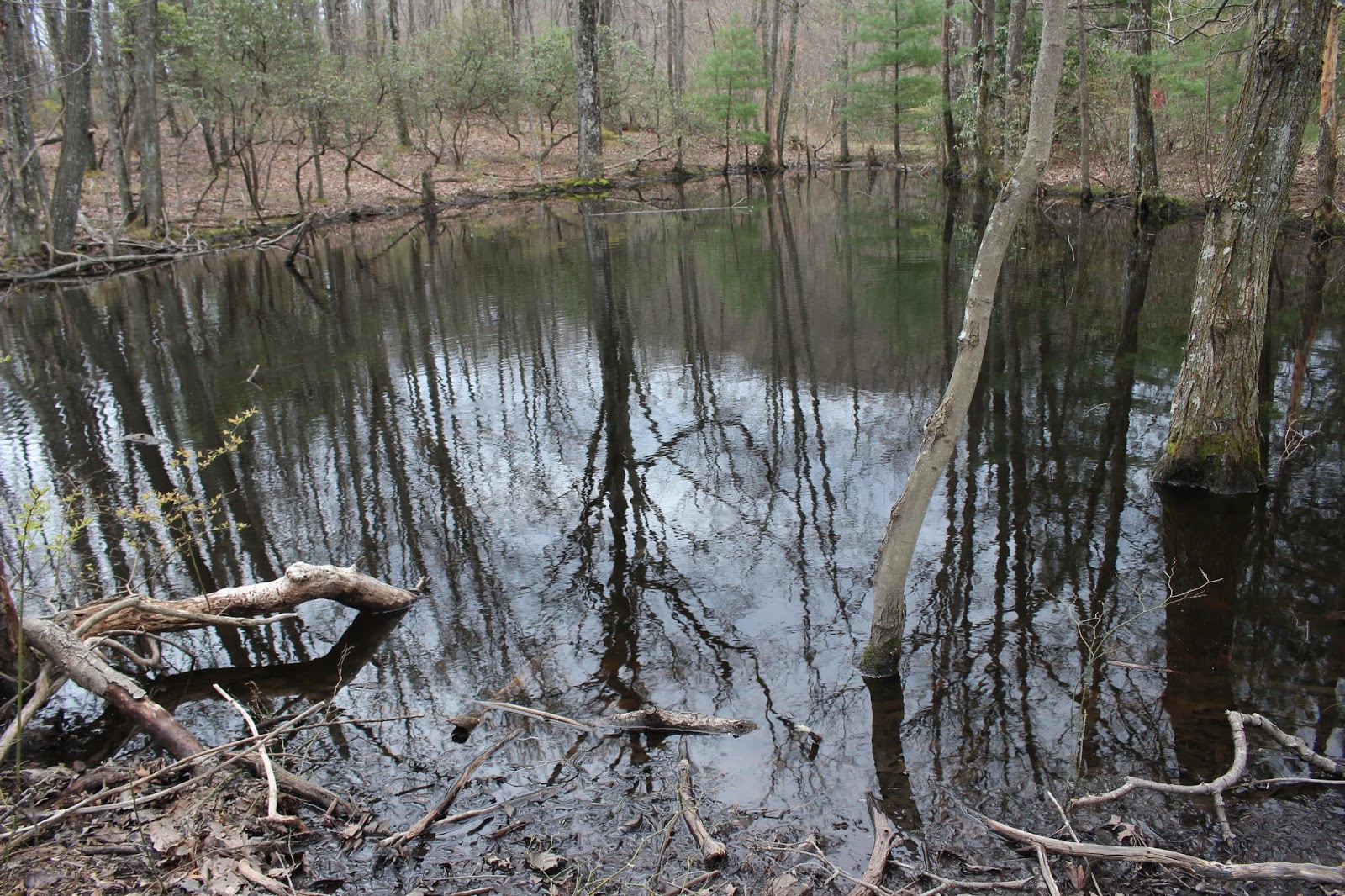 Cumberland Gal: Gobey Exploring in Spring